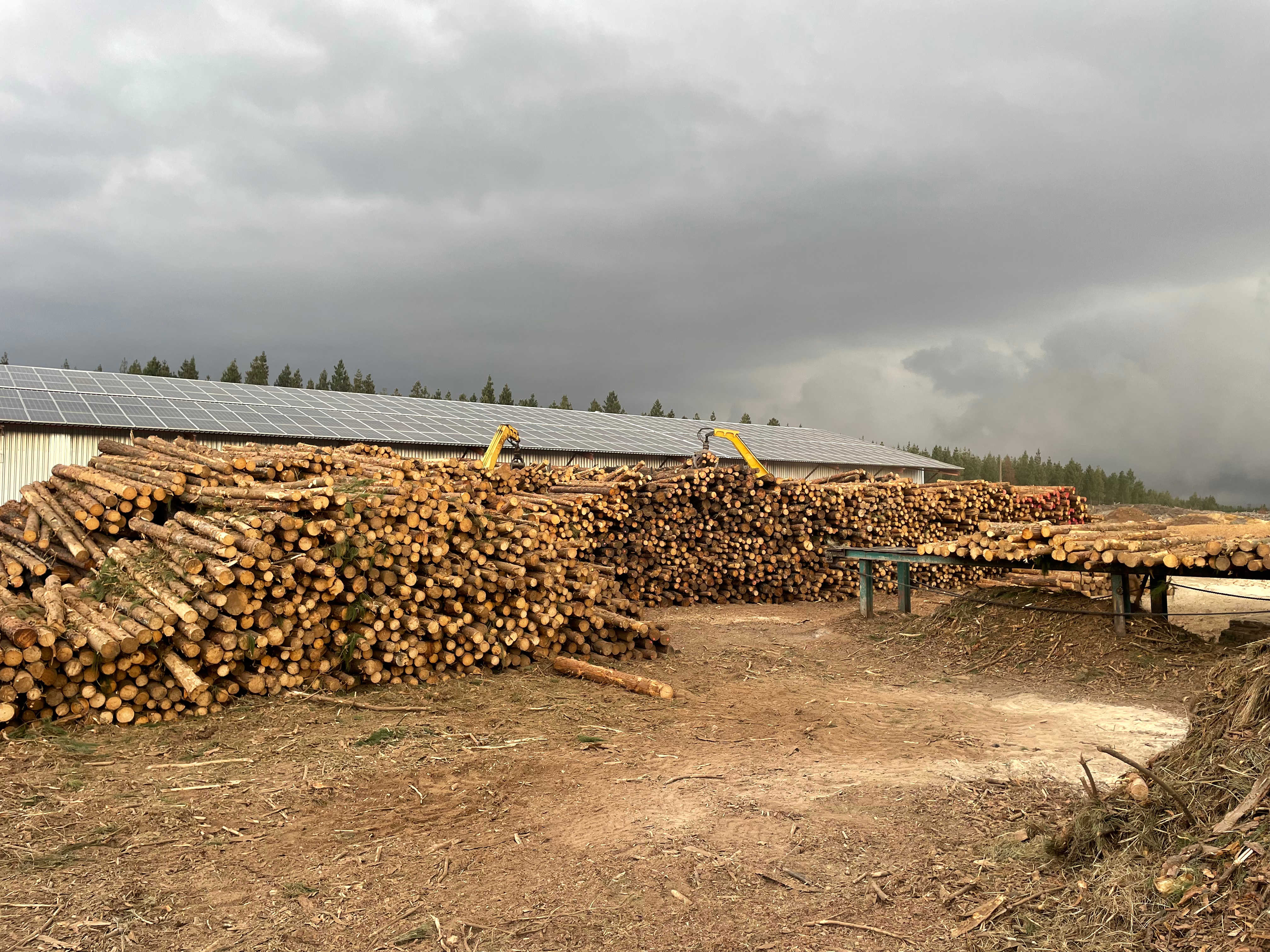 Nu Scotland Sawmills